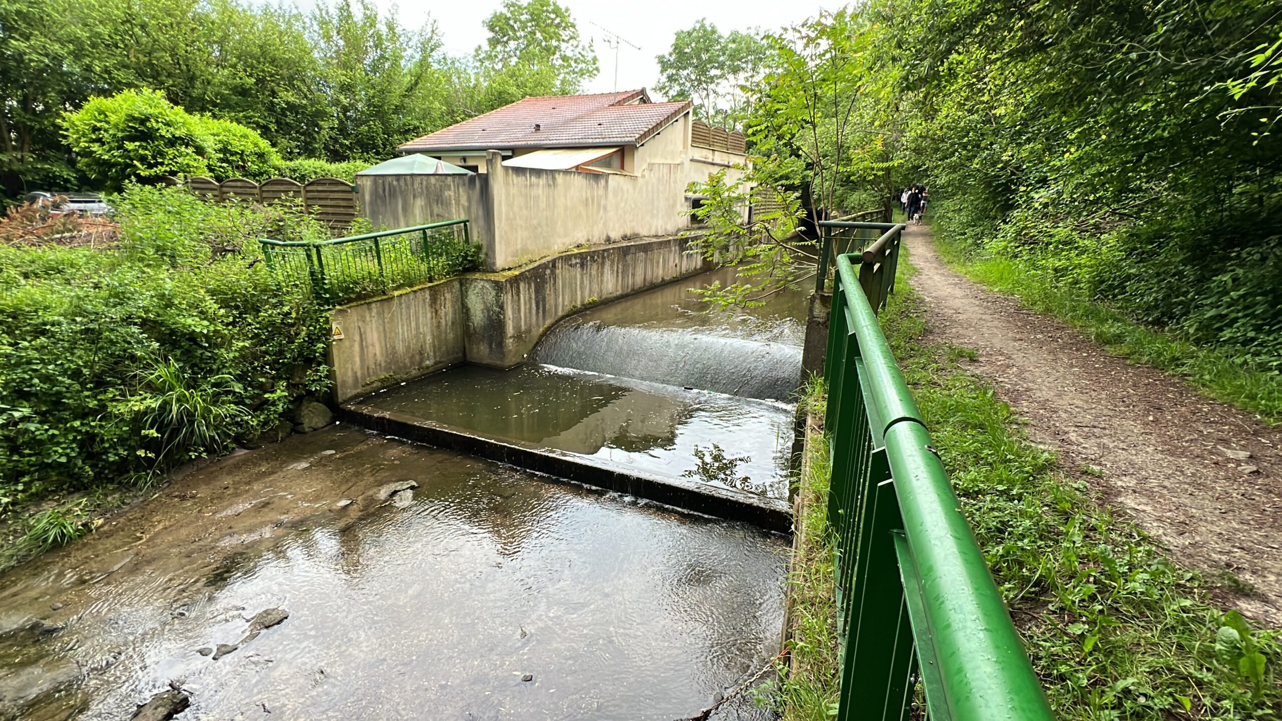 Poursuite du projet du Cèdre Bleu : restauration du Petit Rosne et du Ru de la Marlière - Site ...